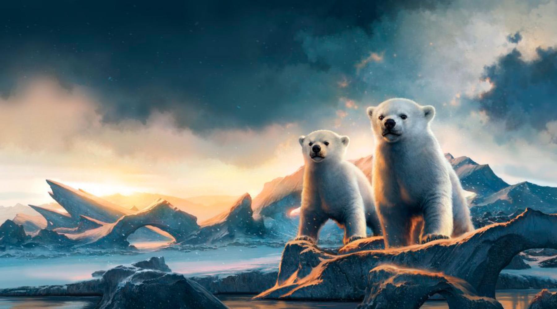Bears of the Ice: Book Series by Kathryn Lasky